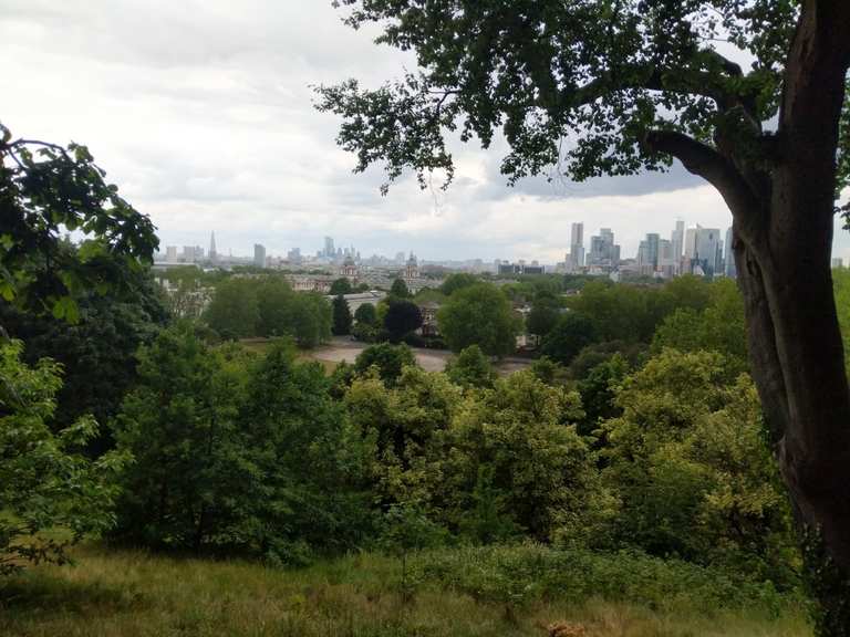 One Tree Hill Routes for Walking and Hiking | Komoot