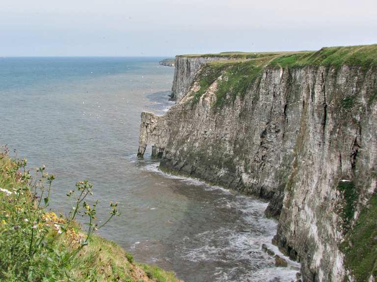 Bempton Cliffs - Cycle Routes and Map | Komoot