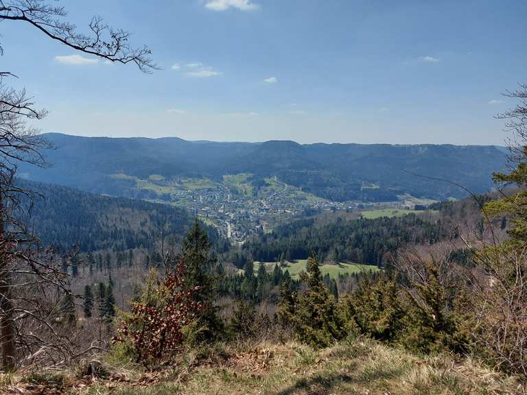Blick Richtung Laufen an der Eyach: Wanderungen und Rundwege | komoot