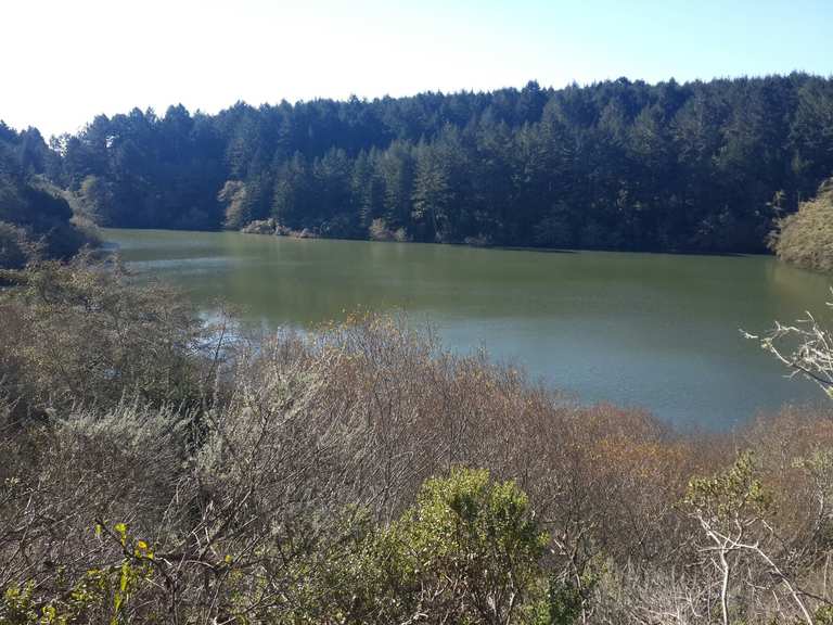 Bass Lake via Coast Trail — Point Reyes National Seashore | hike | Komoot