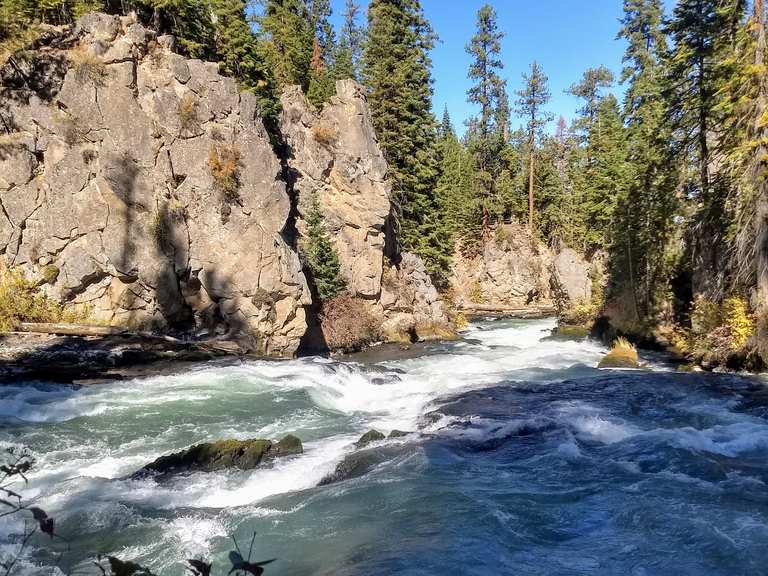 Loop das Cataratas de Benham a partir do Phil's Trailhead — Floresta ...