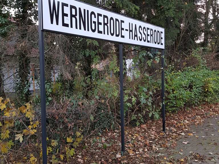 Bahnhof Wernigerode-Hasserode: Wanderungen und Rundwege | komoot