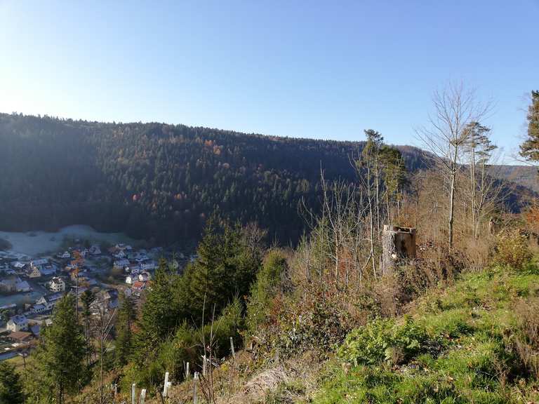 Aussichtspunkt über das Nagoldtal - Mountain Bike Trails & Tracks | Komoot
