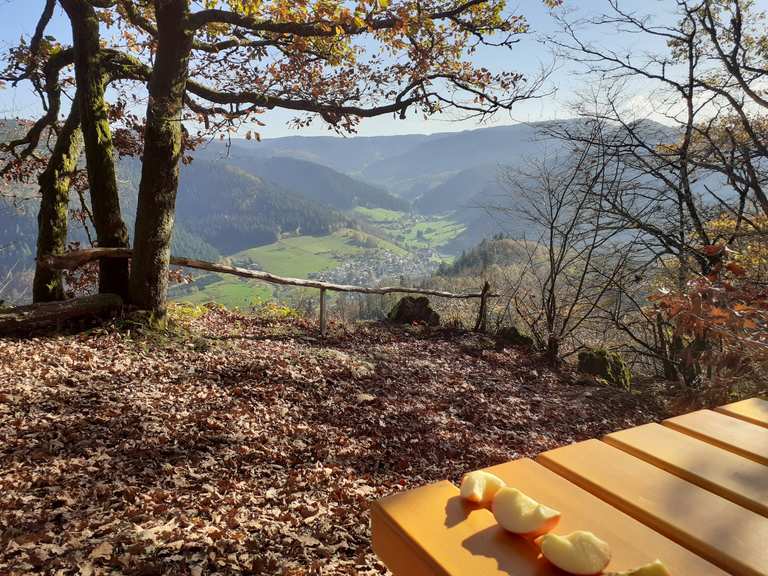 Aussicht ins Kirnbachtal: Wanderungen und Rundwege | komoot