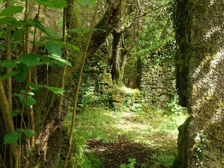 Rowchoish Bothy Routes for Walking and Hiking | Komoot