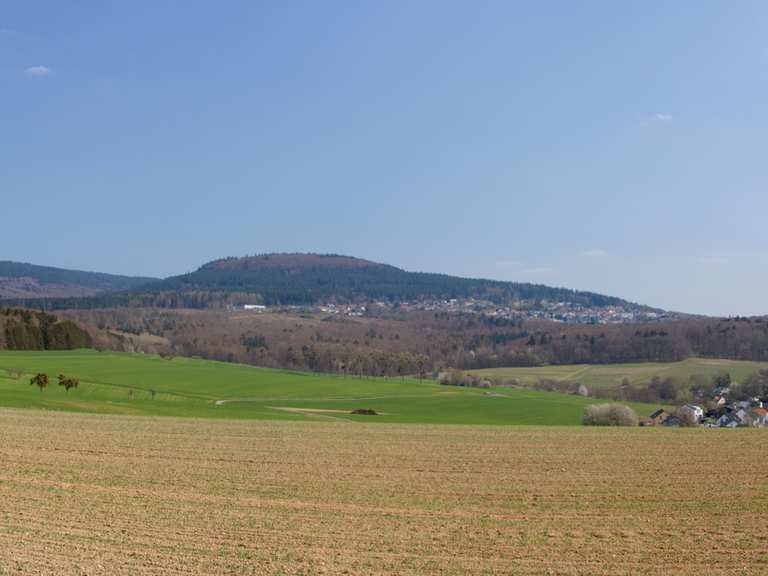 Tipps für dich am dritten März-Wochenende | Komoot