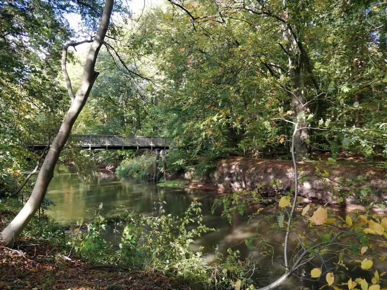 Flusslauf Hunte – Idyllischer Weg an der Hunte loop from Huntlosen ...