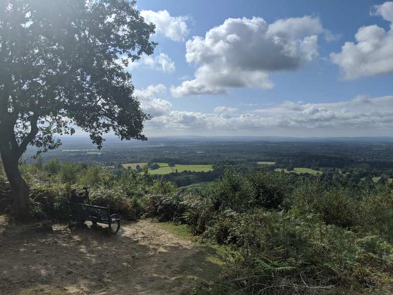 Anello di Hurtwood, Pitch Hill & Winterfold da Peaslake — Surrey Hills ...