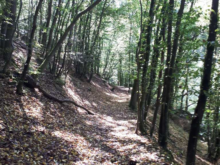 Baybach unterhalb des Rabenlay-Felsens: Wanderungen und Rundwege | komoot