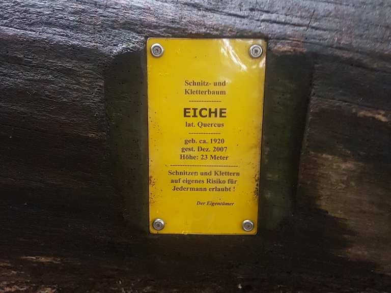 Runen Baum Loop from Hennef (Sieg) | Wanderung | Komoot