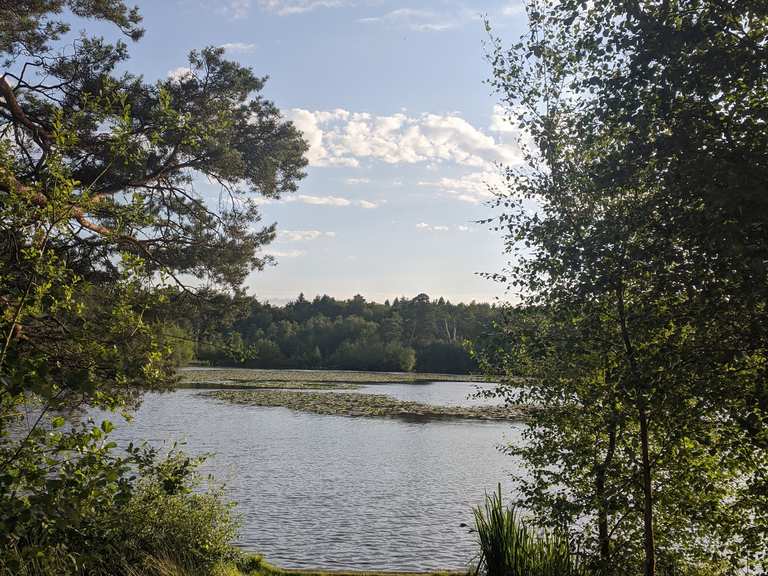 Boucle de Ash, Stoney Castle, et Henley Park Ranges | randonnée ...