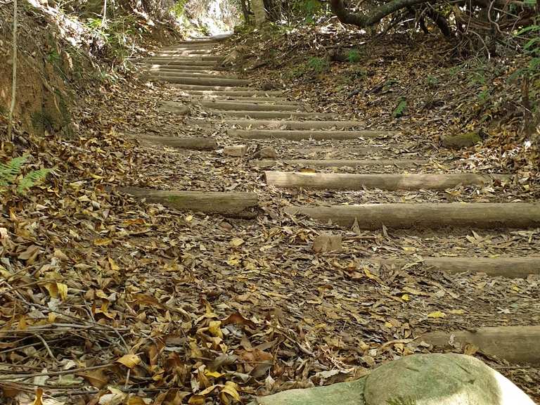 Skeleton Gorge - Routes for Walking and Hiking | Komoot