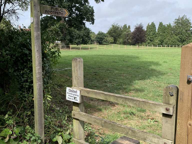 Windmill Trail tree lined section - Routes for Walking and Hiking | Komoot