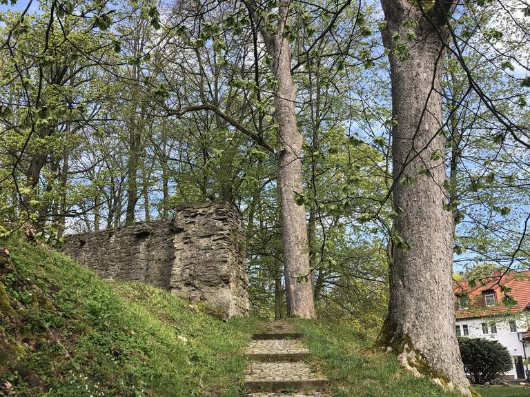 Burgruine Winterstein: Wanderungen und Rundwege | komoot