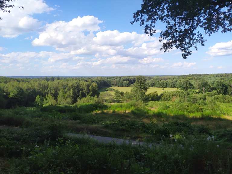 Tankenberg : Radtouren und Radwege | komoot