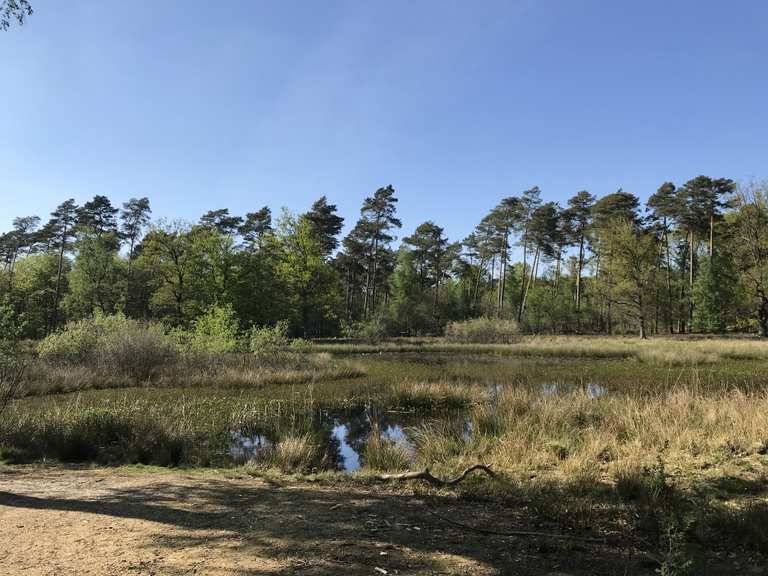 Meertje midden in het bos fietsroutes en kaart | Komoot