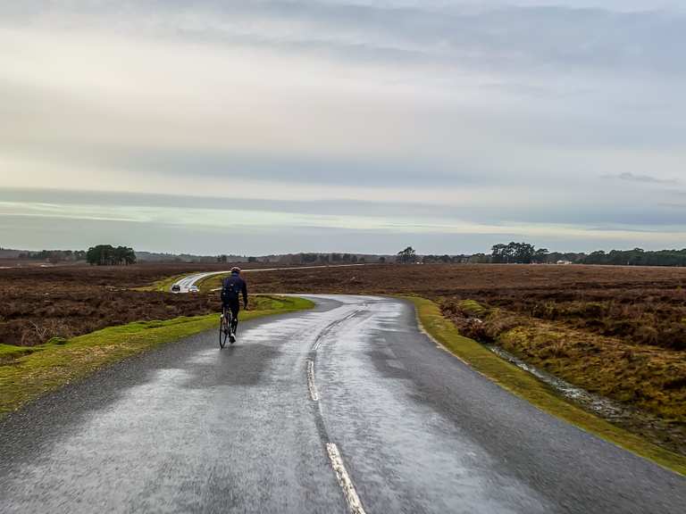 Southampton & the New Forest National Park loop | road ride | Komoot