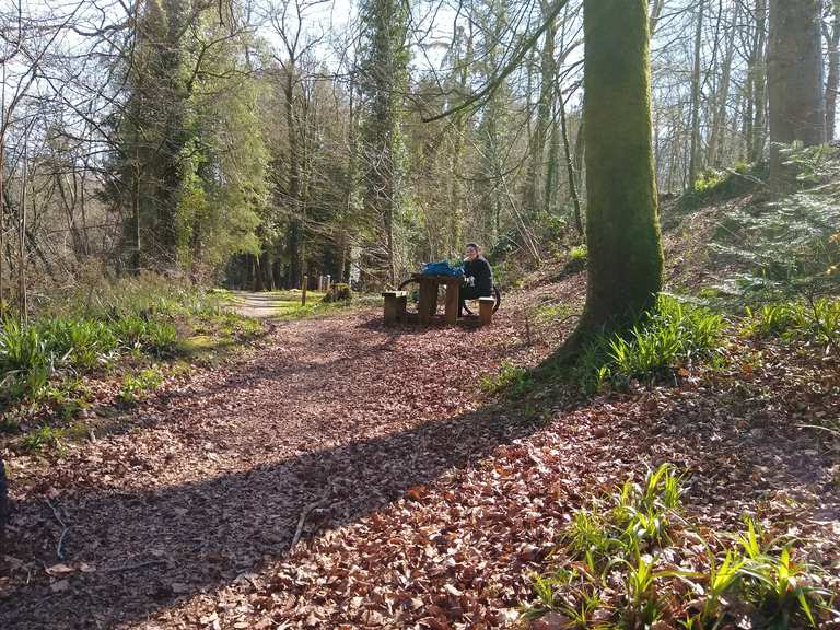 Aberystwyth to Devils Bridge loop via Rheidol and Ystwyth Trail | bike ...