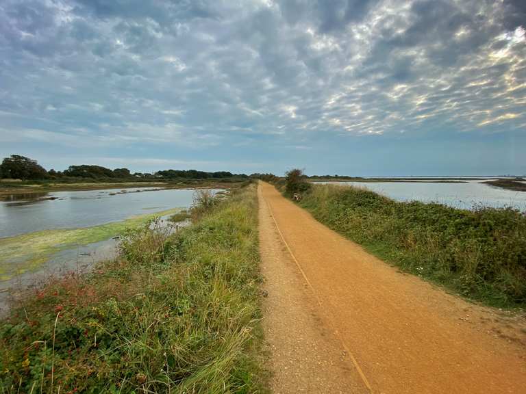 Hayling Billy Cycle Trail: Mountainbike-Touren | komoot