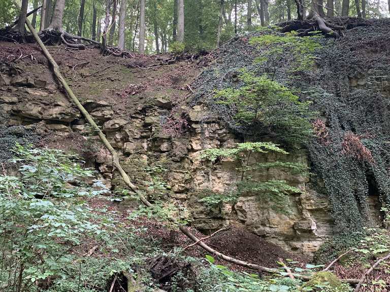 Kalksandsteinbruch Routes for Walking and Hiking | Komoot