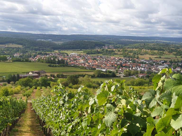 Panorama Ellmendingen: Mountainbike-Touren und -Trails | komoot