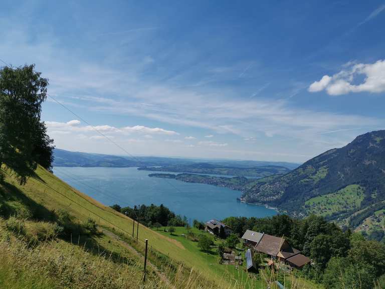 Blick auf Vitznau Runde von Vitznau | Wanderung | Komoot