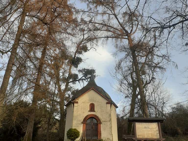 Kreuzkapelle Trassem/Saarburg: Wanderungen und Rundwege | komoot