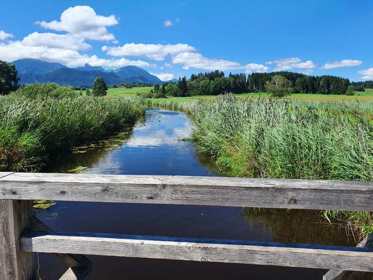 Uferweg am Hopfensee: Wanderungen und Rundwege | komoot