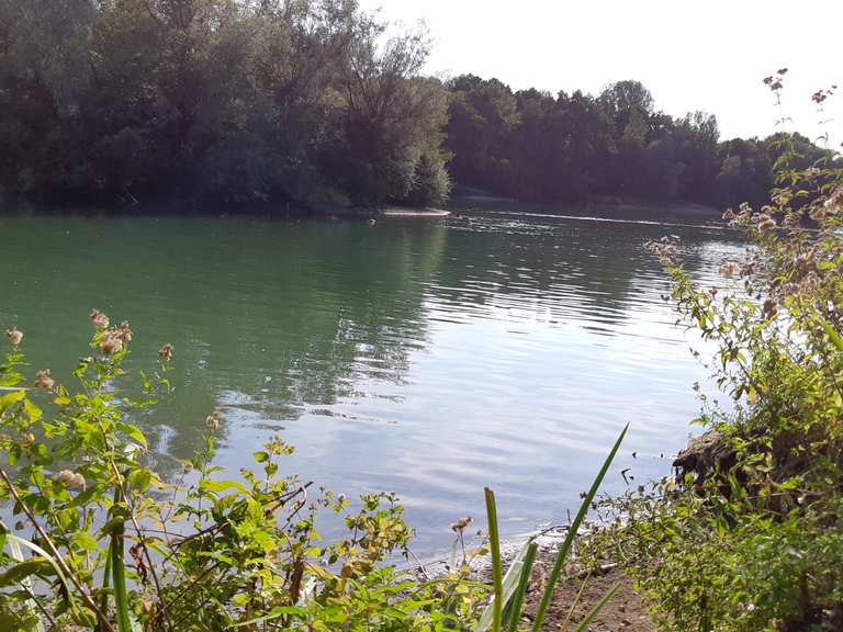 Erlensee - Cycle Routes and Map | Komoot