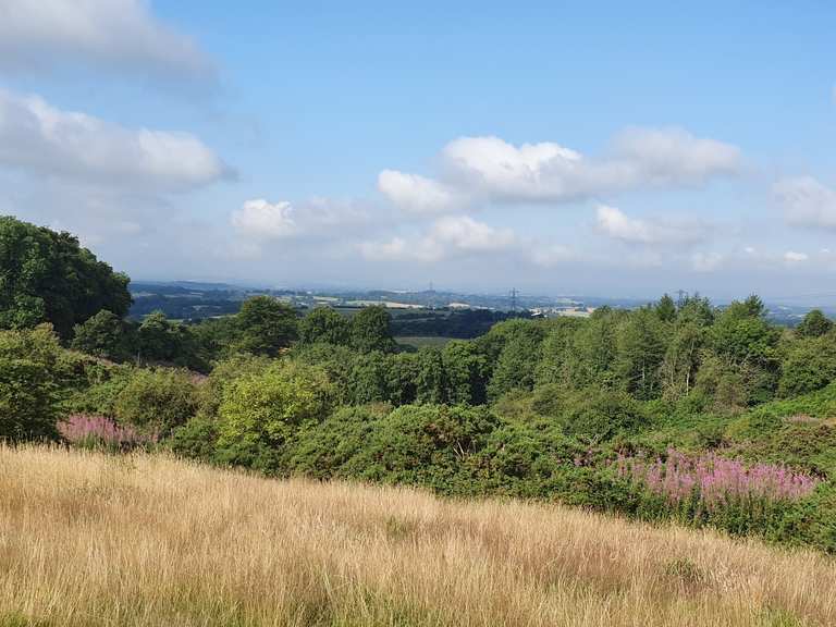 Jubilee Plantation, Waseley Hills Country Park Routes for Walking and ...