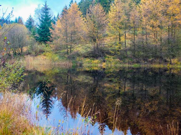 Kielder Water - Cycle Routes and Map | Komoot