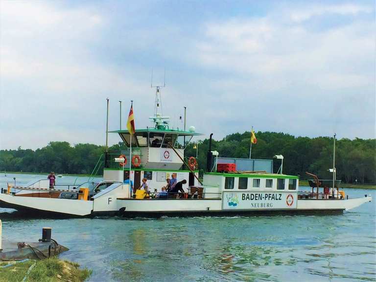 Rheinfähre Neuburg-Neuburgweier: Radtouren und Radwege | komoot