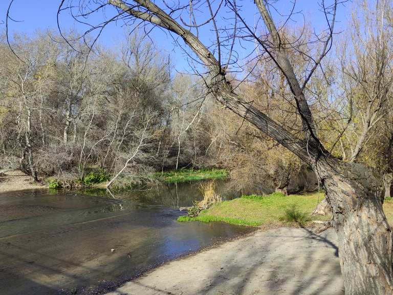 Rodeo al Aeropuerto de Madrid-Barajas por el Parque Forestal de ...