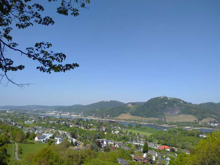 Rodderberg : Radtouren und Radwege | komoot