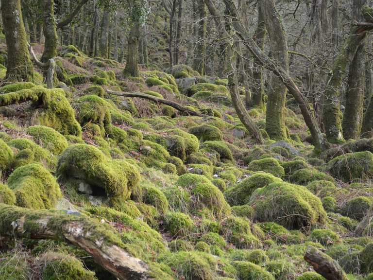 Piles Copse Routes for Walking and Hiking | Komoot