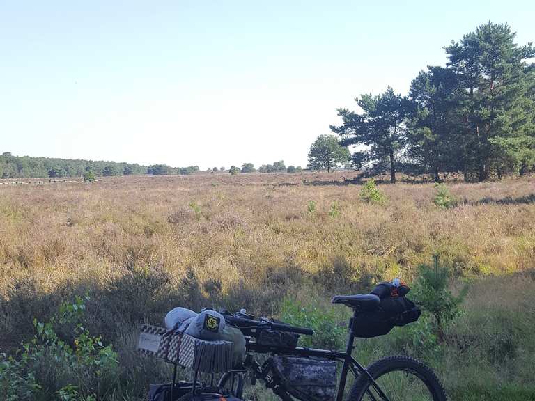 Roundhouse Road gravel trail – Split in the forest loop from Elspeet ...