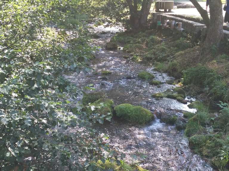 Forellenzucht Zordel : Radtouren und Radwege | komoot