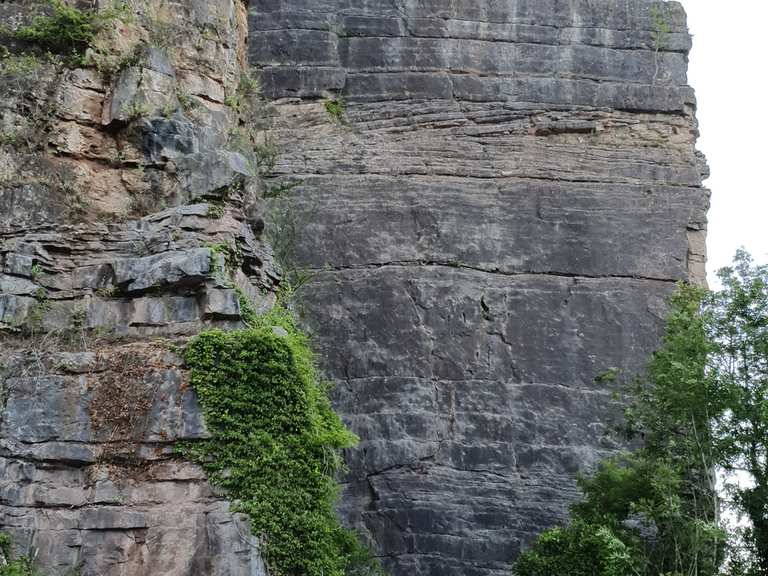Llanymynech Rocks Nature Reserve Routes for Walking and Hiking | Komoot