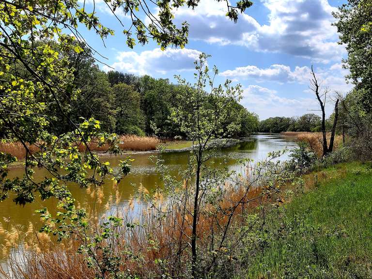 Dornburger Alte Elbe : Radtouren und Radwege | komoot