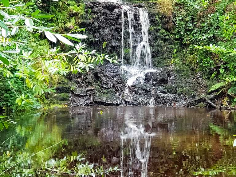 Tillingbourne Waterfall - Itinéraires de rando et marche | Komoot