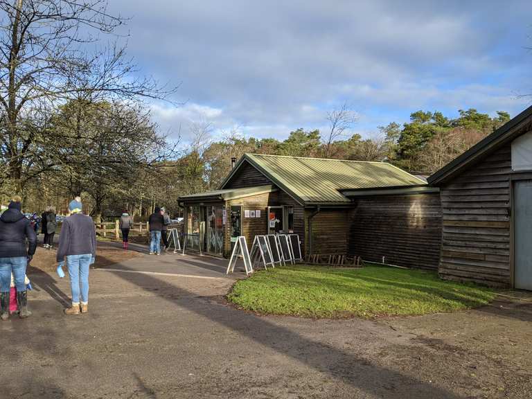 The Ridge Cafe, Haldon Forest - Mountain Bike Trails & Tracks | Komoot