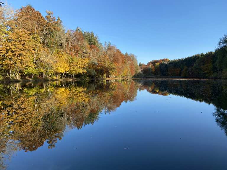 Am Thanninger Weiher entlang Routes for Walking and Hiking | Komoot