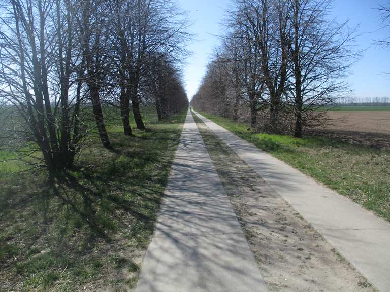 Lindenallee: percorsi ciclabili | Komoot