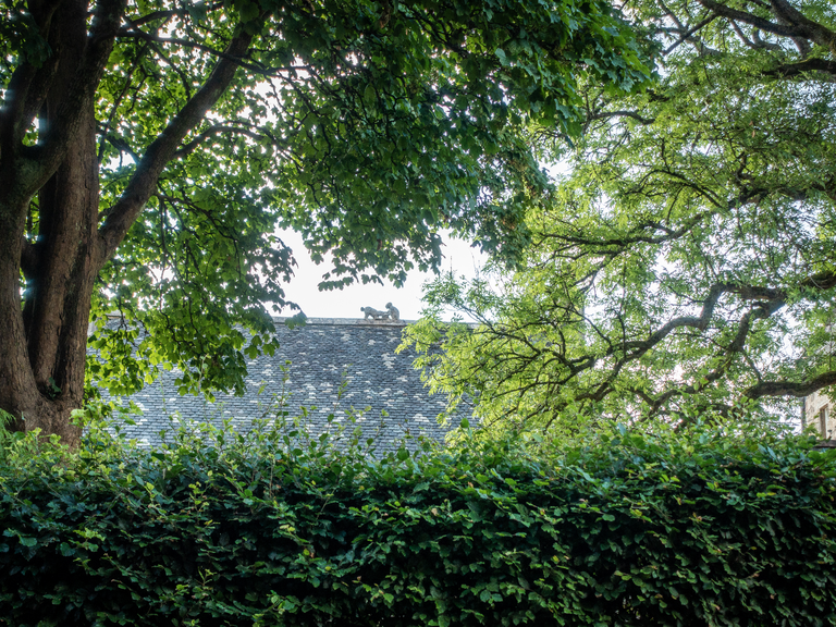 Formakin Haus und Anwesen (das Affenhaus) : Radtouren und Radwege | komoot