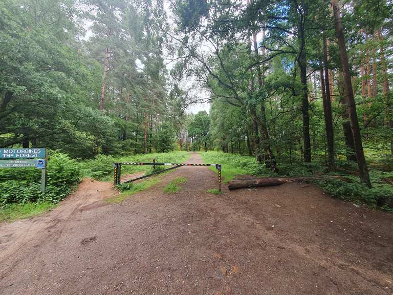 Brandon Country Park Café – Red track loop from Brandon | bike Tour ...