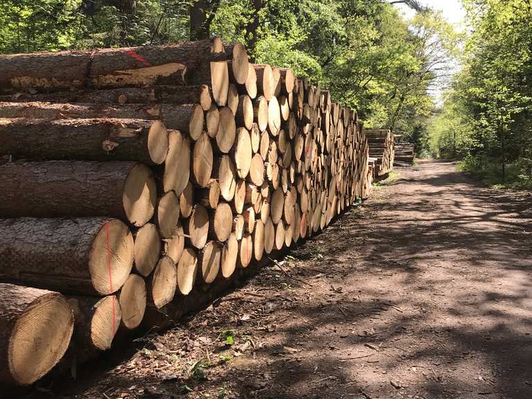 Tangstedter Forst Breiter Weg - fietsroutes en kaart | Komoot