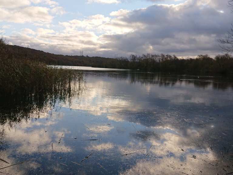Treeton Dyke: Wanderungen und Rundwege | komoot