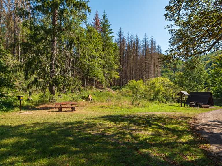 Mettenberg (HWN 203): Wanderungen und Rundwege | komoot