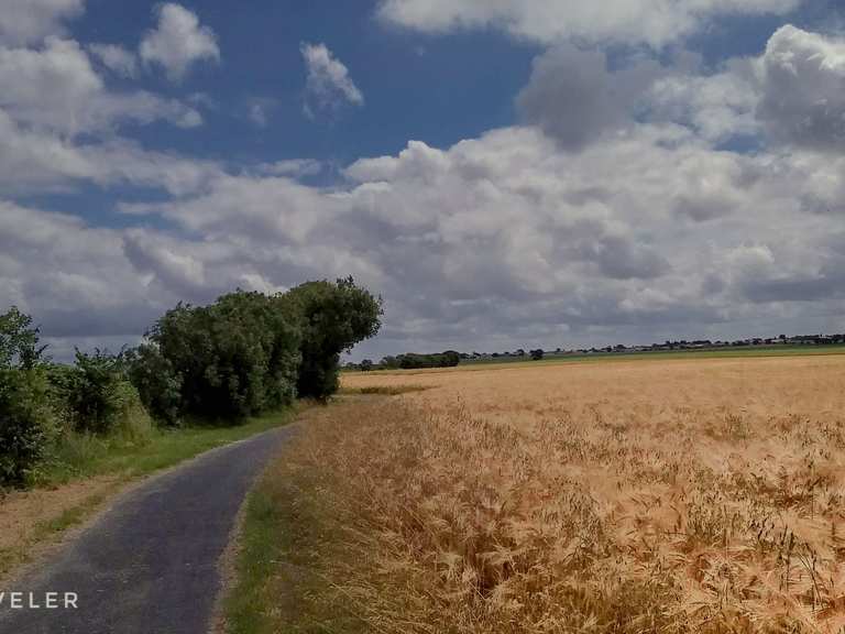 Sentier de découverte entre Esnandes & la pointe Saint-Clément ...