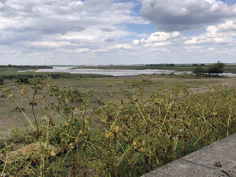 RSPB Cliffe Pools Nature Reserve Routes for Walking and Hiking | Komoot